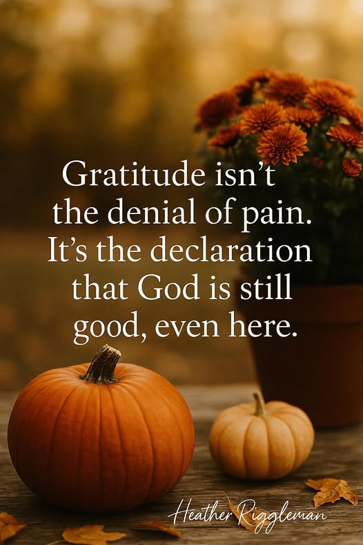 What Does Gratitude Look Like This Thanksgiving? - Creative Connections Co.